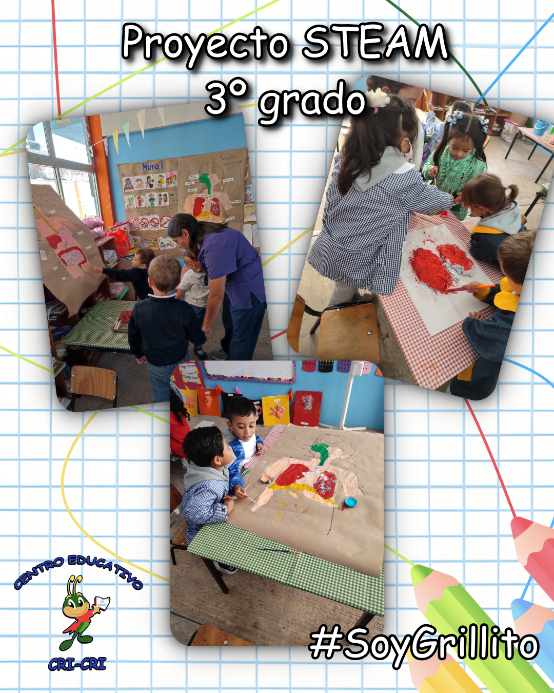 Proyecto STEAM 3º grado – Centro Educativo Cri-Cri